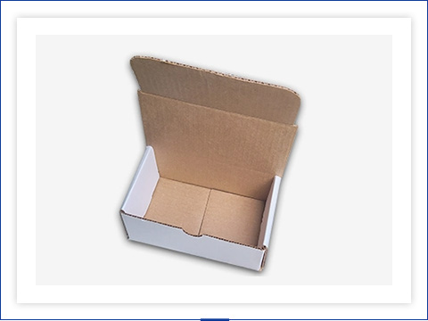 Tray Former - Y-pack packaging technology Co., Ltd.