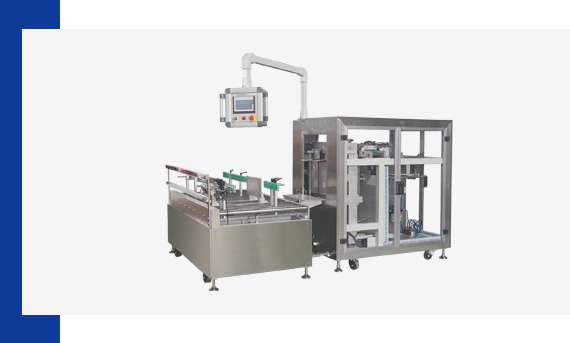 Horizontal case packer